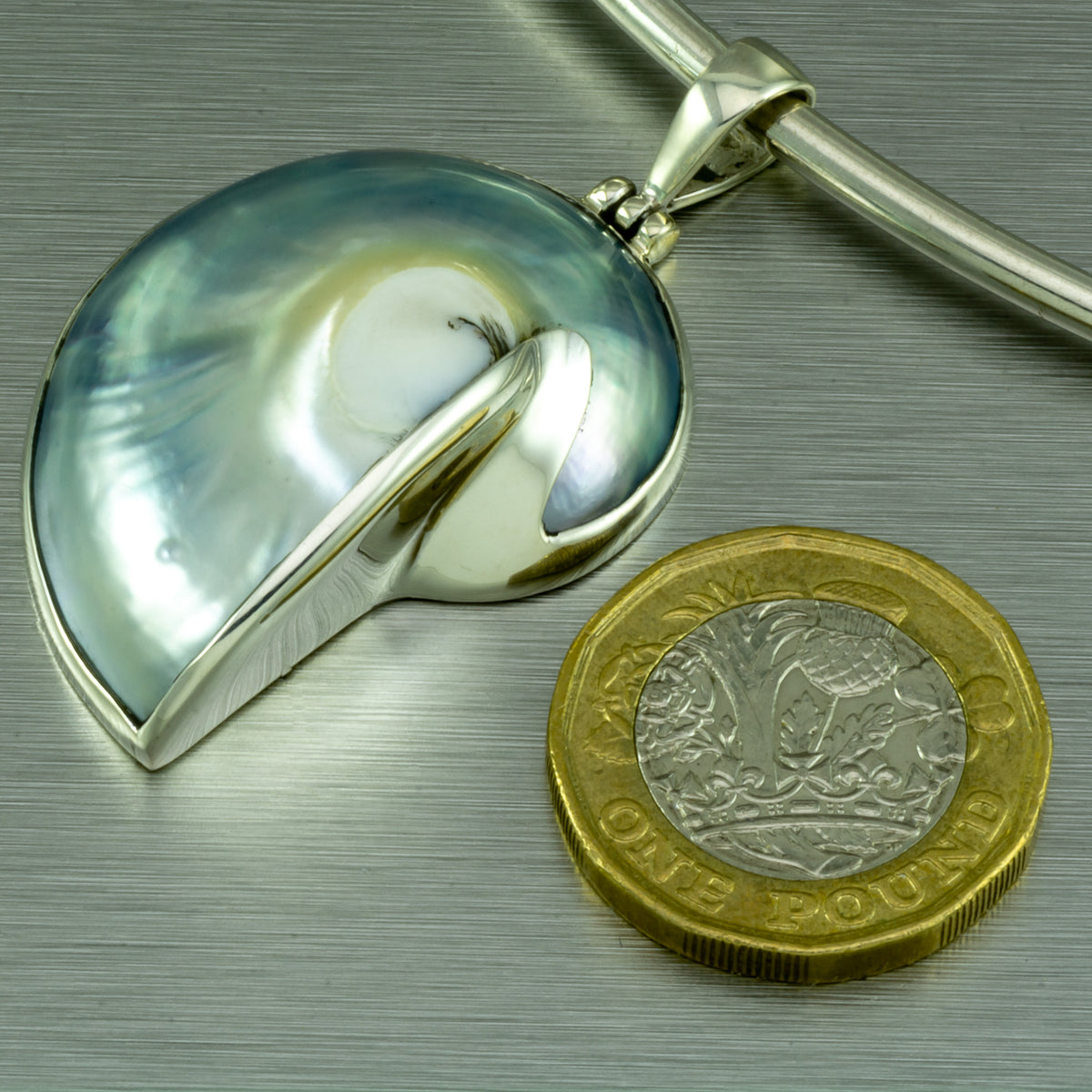 Nautilus Shell Medium Size Pendant